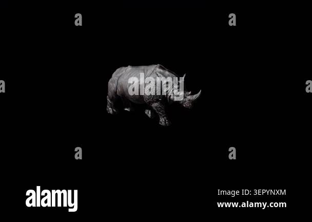black rihno with alpha channel and loop Stock Video Footage - Alamy