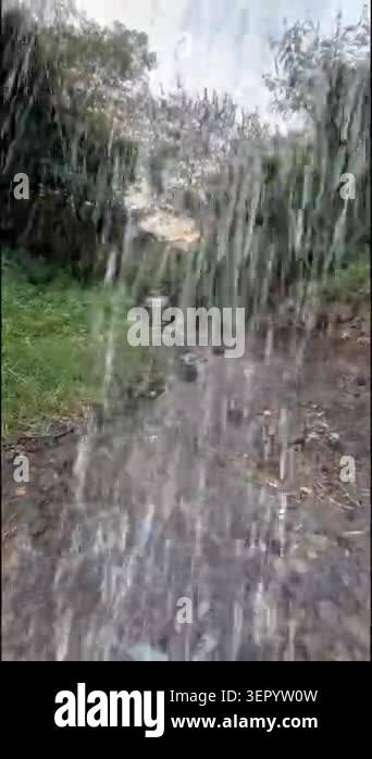 waterfall in the forest Stock Video Footage - Alamy