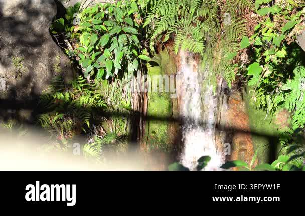 Clear water stream flowing over rocks and stones with green grass on ...