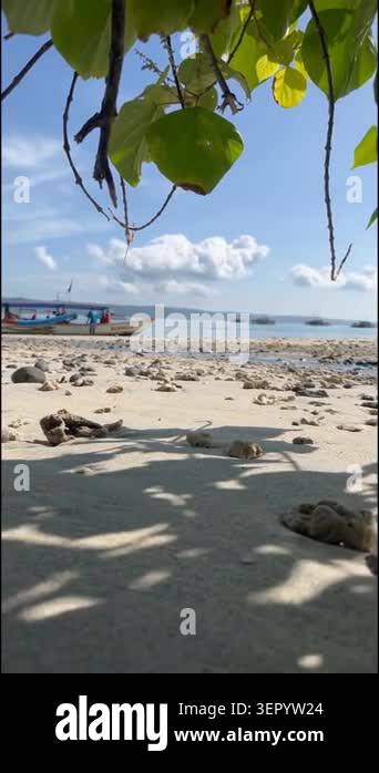 beautiful beach with sea and sky Stock Video Footage - Alamy