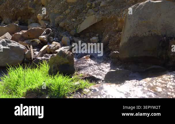 Clear water stream flowing over rocks and stones with green grass on ...