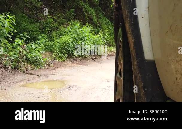 A car navigates a muddy trail in a forested area, splashing water as it ...