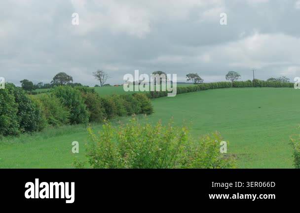 Scottish Fields Farm Roof Tops Stock Video Footage - Alamy