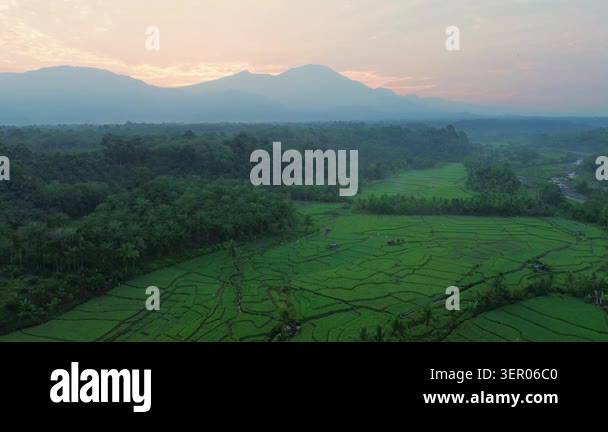 Terraced Rice Fields at Sunrise in Indonesia. Beautiful panoramic view ...
