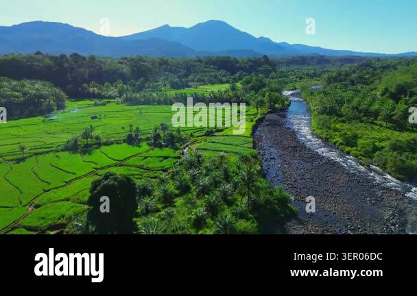 beautiful landscape and river in the philippines Stock Video Footage ...