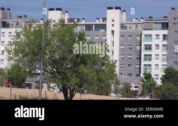 Modern apartment complex under clear blue sky. Large green tree stands ...