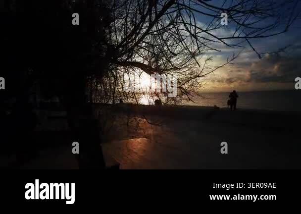 Warm sunset light filters through tree leaves while people sit by the ...
