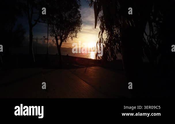 Warm sunset light filters through tree leaves while people sit by the ...