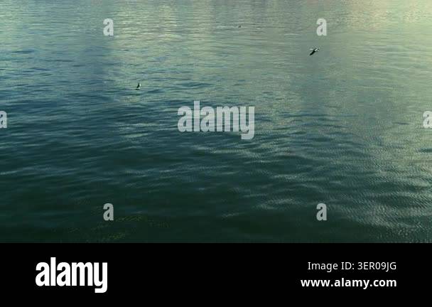 The Pure Sea Water Surface and Reflection Stock Video Footage - Alamy