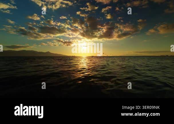 Seagulls flying over Izmir city skyline and the Aegean Sea, capturing ...