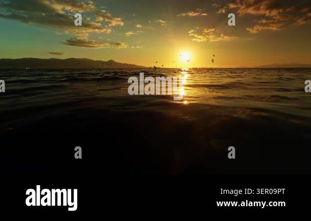 Seagulls flying over Izmir city skyline and the Aegean Sea, capturing ...