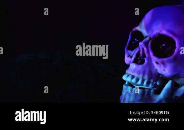Close up view of a human skull illuminated by colorful dramatic ...