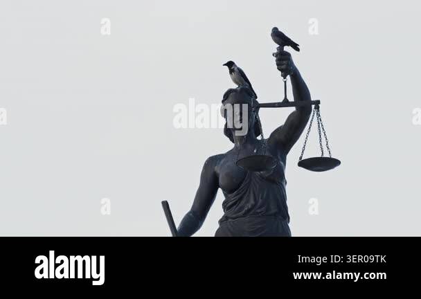 Lady Justice statue symbolizing law and fairness with a crow resting on ...