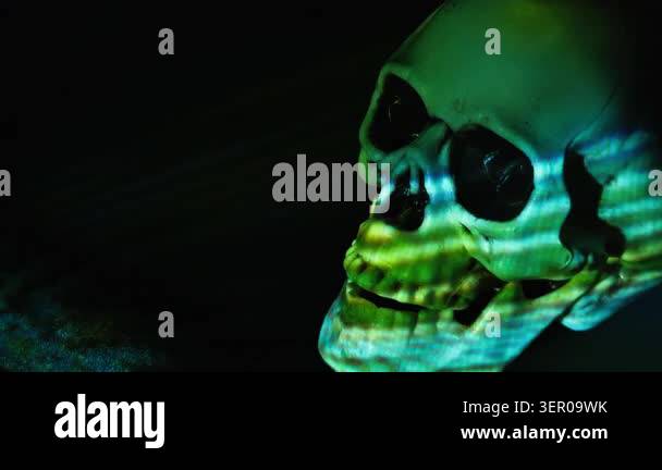 Close up view of a human skull illuminated by colorful dramatic ...