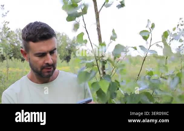 A man is holding a smartphone and examining a small tree with green ...