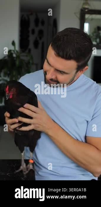Vertical video showing a man gently petting a black chicken he is ...