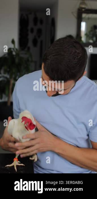 A man is holding and petting a white chicken, smiling and looking at it ...