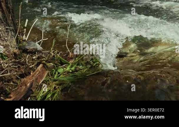 Beautiful pure waterfall cascading into a small creek surrounded by ...