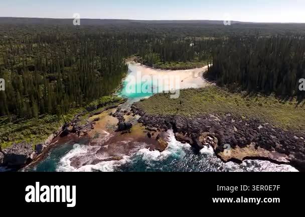 Aerial view turquoise lagoon and pine forest Isle of Pines, New ...