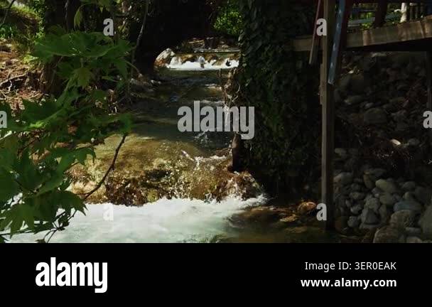 Beautiful pure waterfall cascading into a small creek surrounded by ...