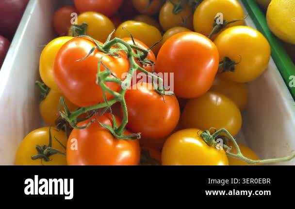 tomatoes in a box yellow orange. beautiful wooden box that is filled to ...