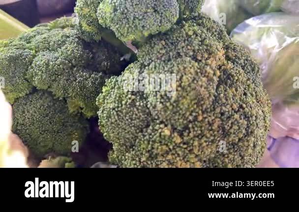 Download Freshly harvested broccoli and greens in wooden crates at a ...
