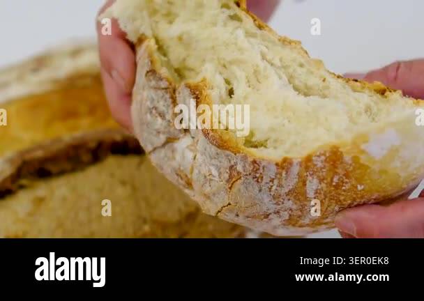 airy and porous structure in freshly baked bread showcasing texture and ...