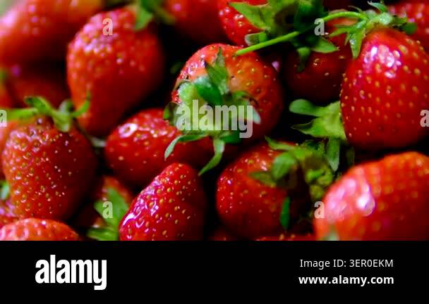 Strawberry. Fresh organic berries macro. Fruit background. High quality ...