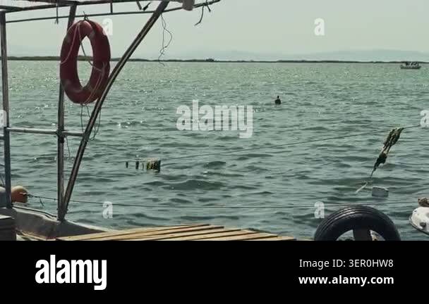Cinematic high resolution shot of a bright red life buoy floating on ...