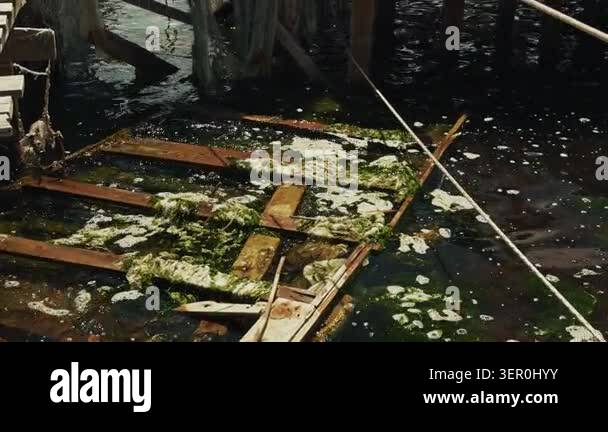 Realistic cinematic shot of filthy sea water in a professional dock ...