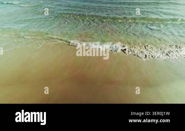 High resolution cinematic shot of gentle sea waves crashing on a golden ...