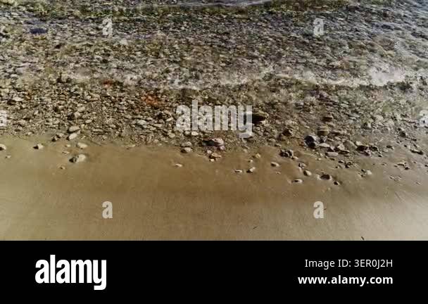 High resolution cinematic shot of gentle sea waves crashing on a golden ...