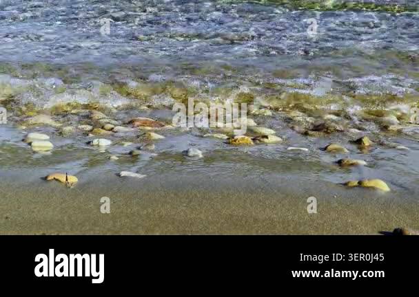 High resolution cinematic shot of gentle sea waves crashing on a golden ...