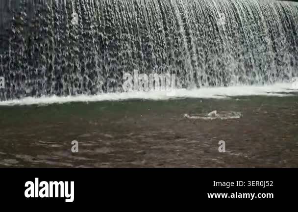 Wide scenic shot of a powerful waterfall cascade flowing into a rocky ...