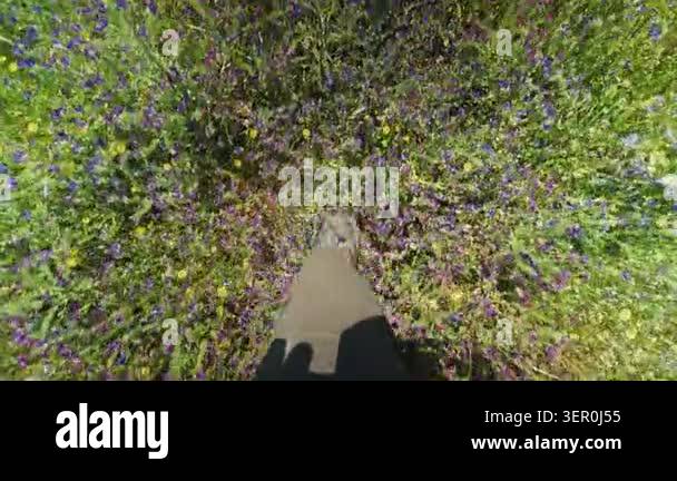 High resolution cinematic POV shot of a person walking through a field ...