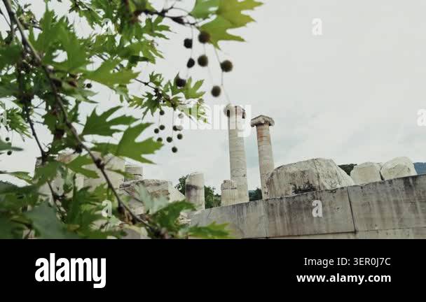 Majestic wide shot of ancient Ionic columns at the historic Temple of ...