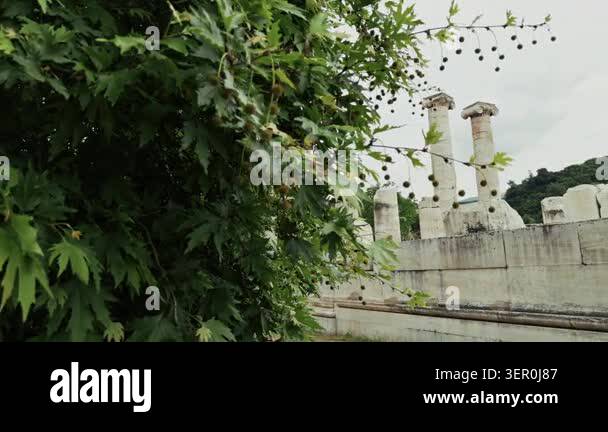 Majestic wide shot of ancient Ionic columns at the historic Temple of ...