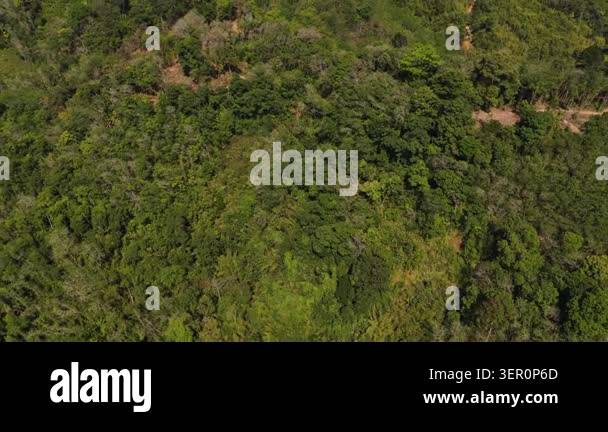 Amazing aerial shot slowly flying over a lush tropical jungle, tilting ...