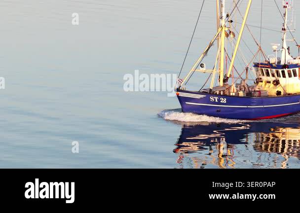 Blue fishing trawler cruising on a calm sea during a sunny day, with ...