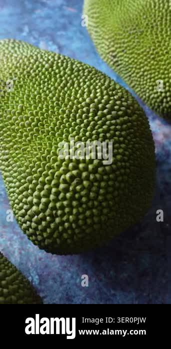 A close look at the texture of jackfruit showing its skin and color ...