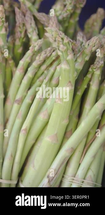 A group gathers at a local farm for a spring asparagus harvest Stock ...