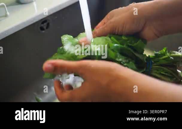 Hands wash greens under running water in a kitchen sink Stock Video ...