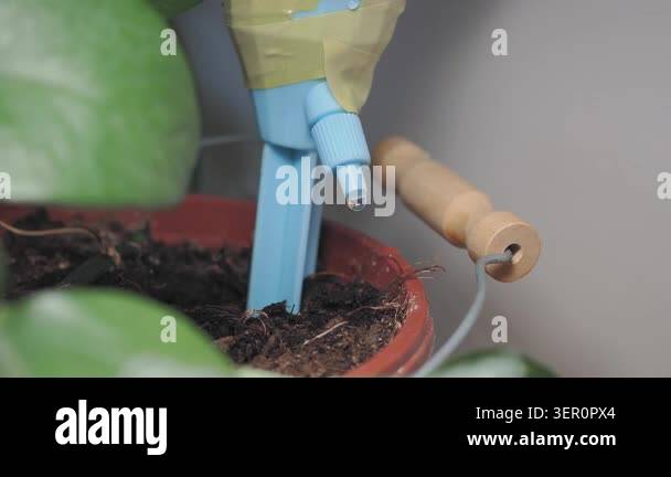 A person shows how to water plants using a tool in a pot Stock Video ...