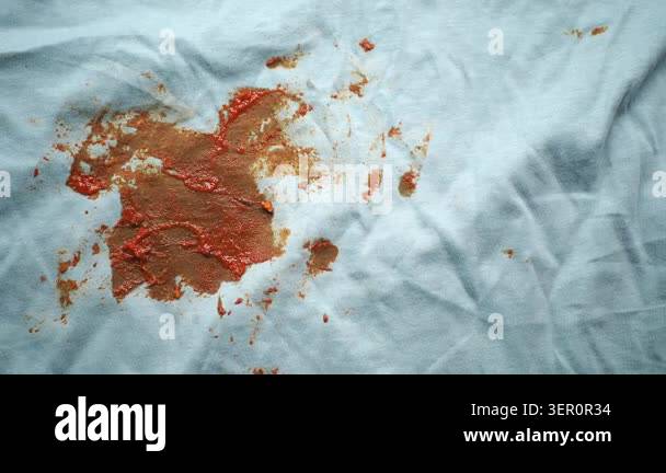 A person cleans a fabric stain in the kitchen with a solution Stock ...