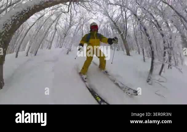 Skier navigates steep snowy terrain through dense birch forest with ...