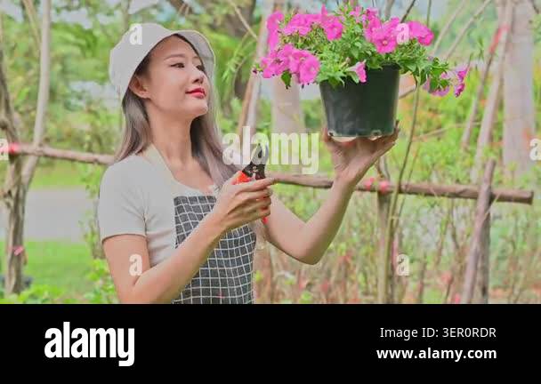 Beautiful young female florist wearing hat and apron use pruner to cut ...