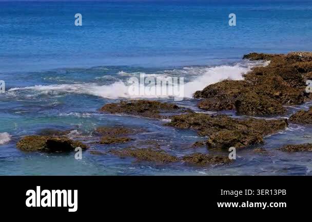 Waves crashing against rock on the reef shore.Fierce, tumbling wave ...