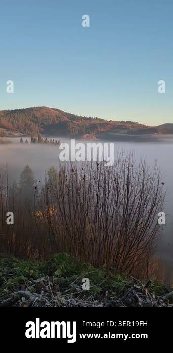 morning mist in the carpathian mountains, ukraine Stock Video Footage ...