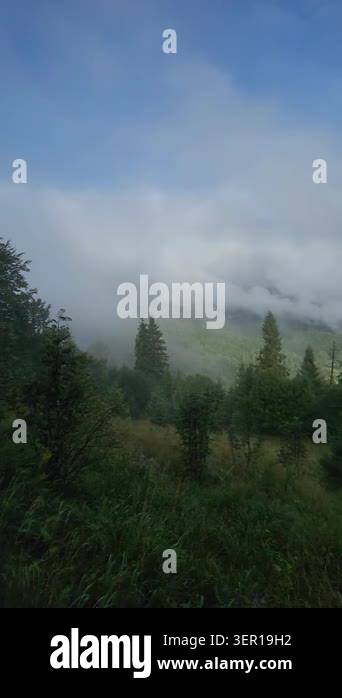 beautiful landscape with a river and a mountain Stock Video Footage - Alamy