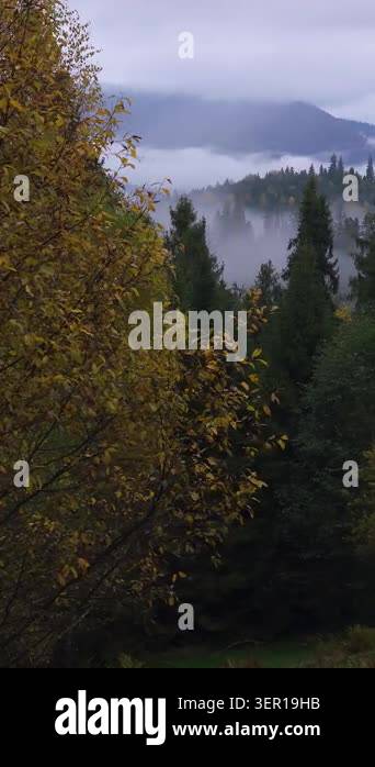 autumn landscape with a mountain in the forest Stock Video Footage - Alamy
